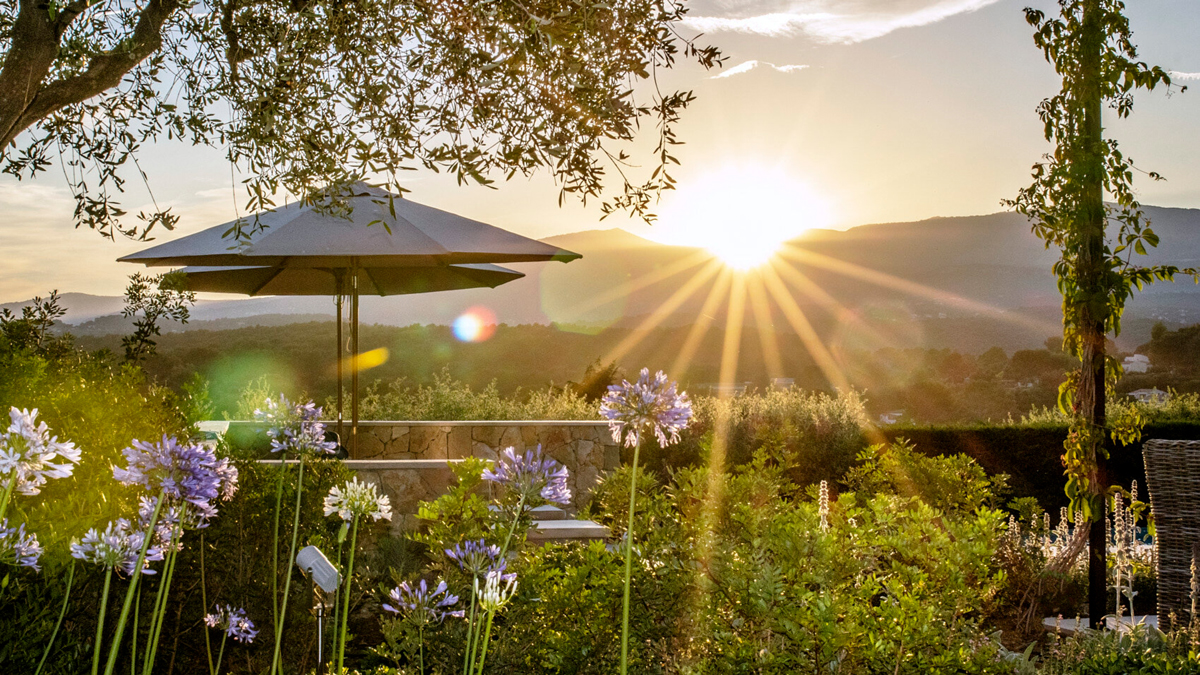 Callender Howorth | Luxury Interior & Architectural Design